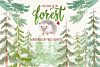 forest bundle watercolor clipart