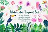 Tropical Watercolor Set (141566) | Illustrations | Design Bundles