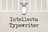 Intellecta Typewriter (32446) | Regular | Font Bundles