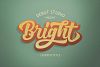 Bright Script (Fonts Trio) (80994) | Script | Font Bundles
