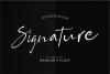 BS Signature (101637) | Script | Font Bundles