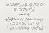 Beadwork font (29043) | Script | Font Bundles