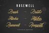 Rosewell Font Collection (226088) | Sans Serif | Font Bundles
