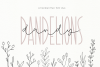 Dandy Dandelions - Handwritten Script & Print Font Duo