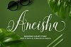 Aneisha Script (59742) | Handwritten | Font Bundles