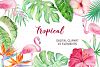 Tropical Watercolor Clipart Set