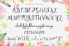 Secret Garden (18322) | Script | Font Bundles