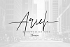 Ariel Signature (77151) | Script | Font Bundles