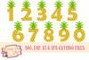 Pineapple Numbers SVG, DXF, AI, EPS, PNG, JPEG