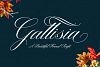 Gallisia Script (40247) | Script | Font Bundles