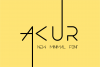 Akur font (56000) | Regular | Font Bundles